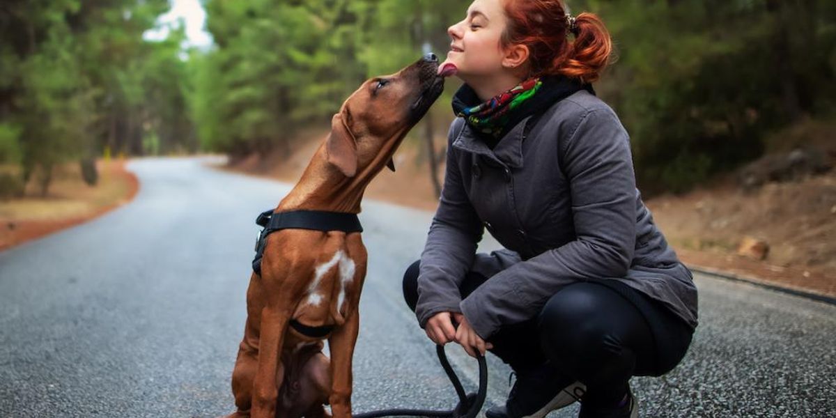 Easy dog breeds for first-time owners | The Mission WMCA - New York, NY
