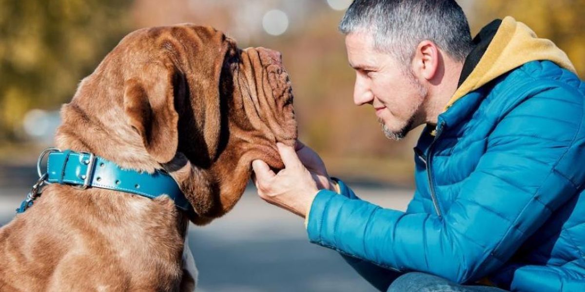 Biggest dog breeds | Salem Podcast Network