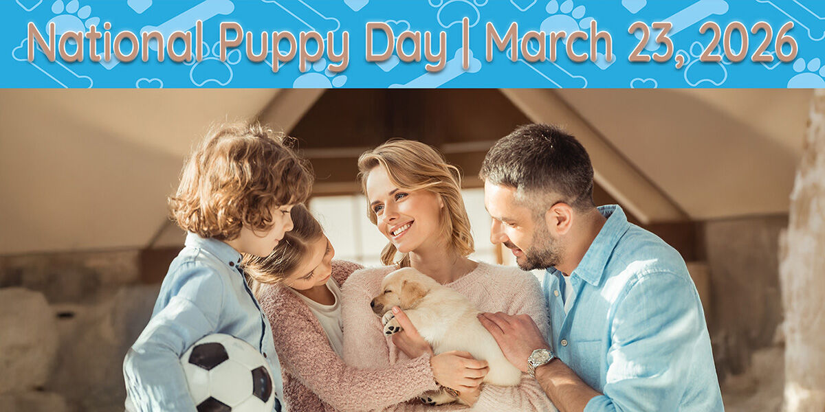 National Puppy Day is coming, but are you ready? Vet tips for getting a ...