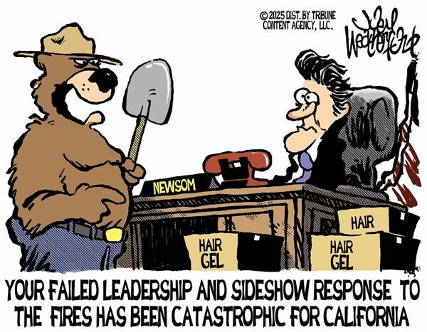 January 27, 2025 — Today's Conservative Cartoon | AM 560 The ANSWER ...