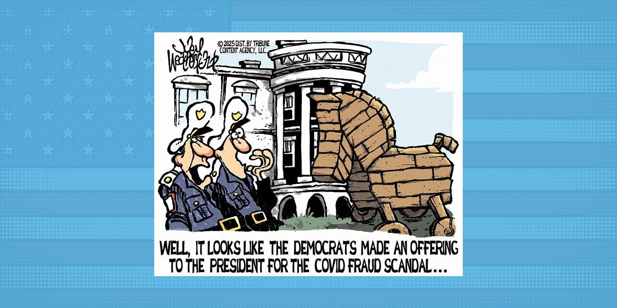 December 12, 2025 — Today's Conservative Cartoons | AM 870 The ANSWER ...