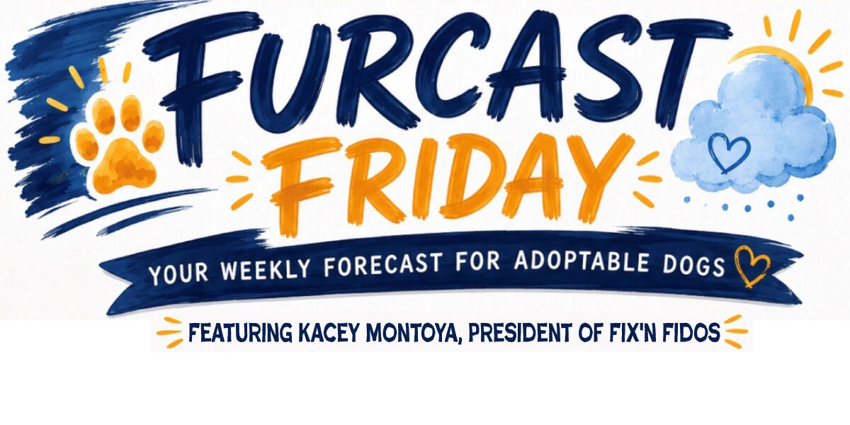 TMA - Friday Mornings at 8:00 am | AM 870 The ANSWER - Los Angeles, CA